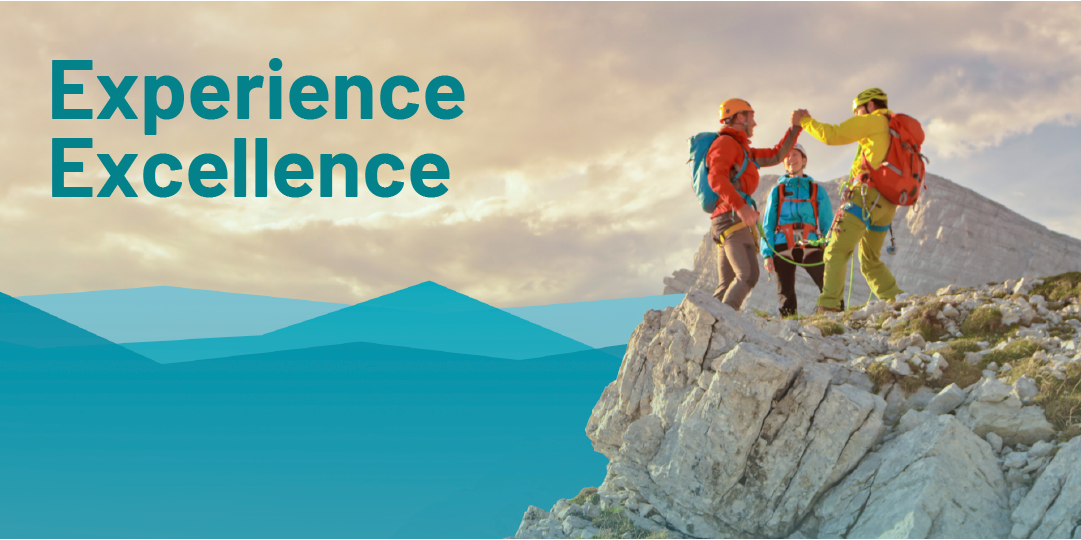 What is Patient Portal from Software of Excellence?